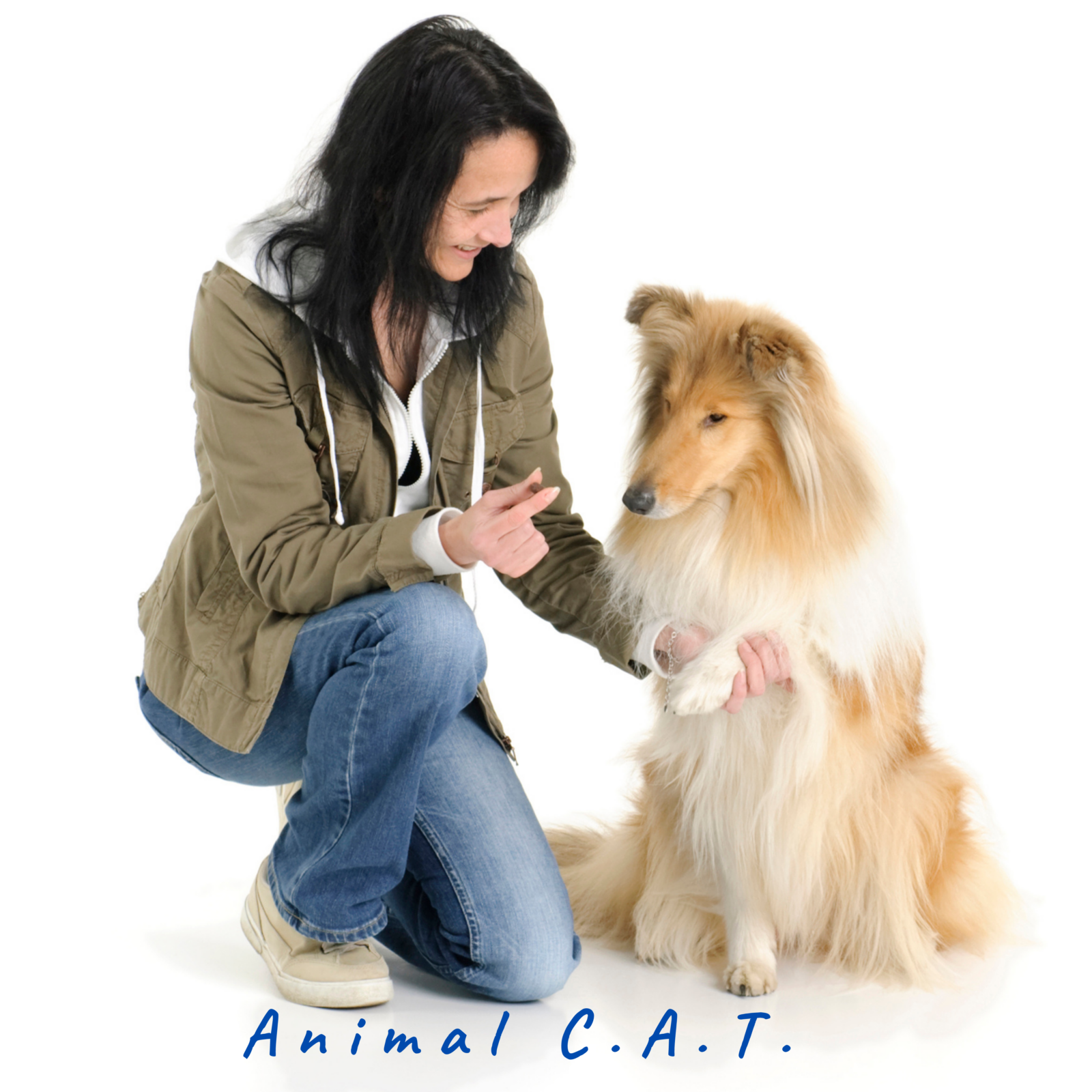 Privétraining - Animal C.A.T.