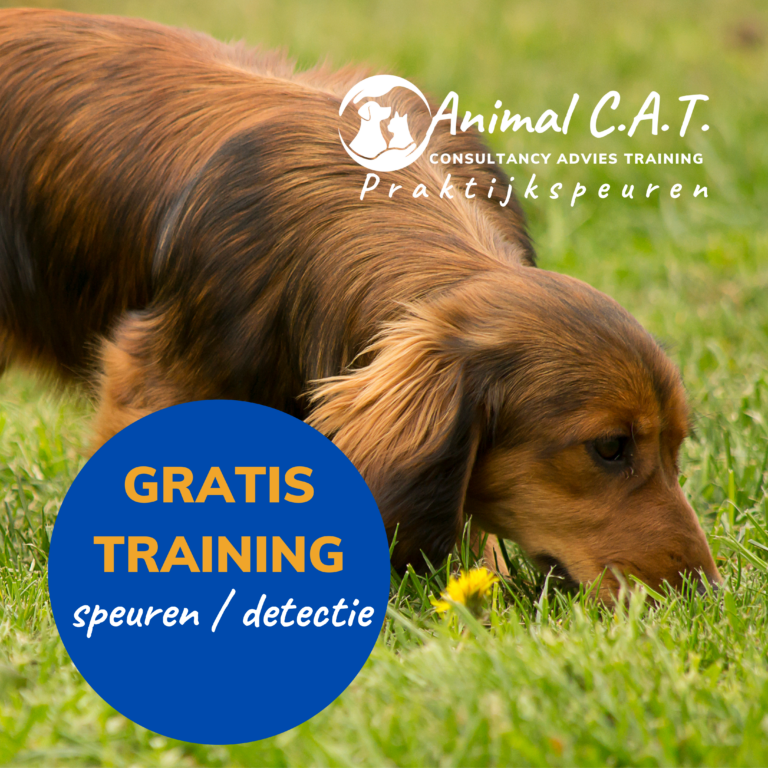 Dogloversdeals LeisureLands – Acties met hond - Animal C.A.T.